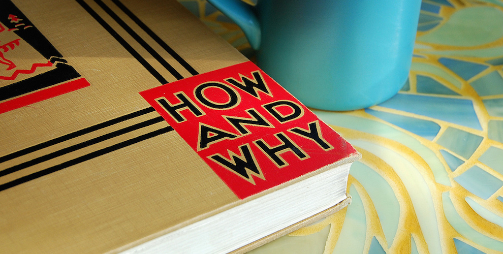 Đừng chỉ hỏi Làm Sao (How), mà hãy hỏi Tại Sao (Why)? | Từ coder đến ...